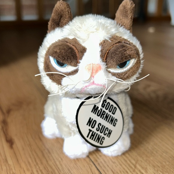 Other | Grumpy Cat Plushstuffy | Poshmark